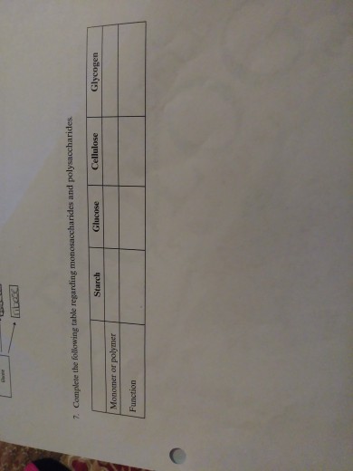 Solved Complete the following table regarding | Chegg.com