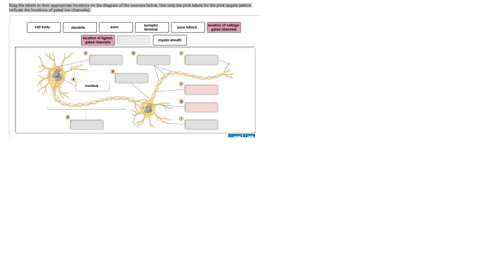 Solved Drag the labels to their appropriate locations on the | Chegg.com