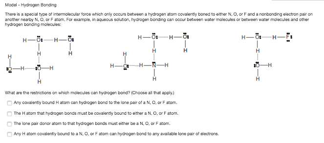 Solved Model Hydrogen Bonding There is a special type of | Chegg.com