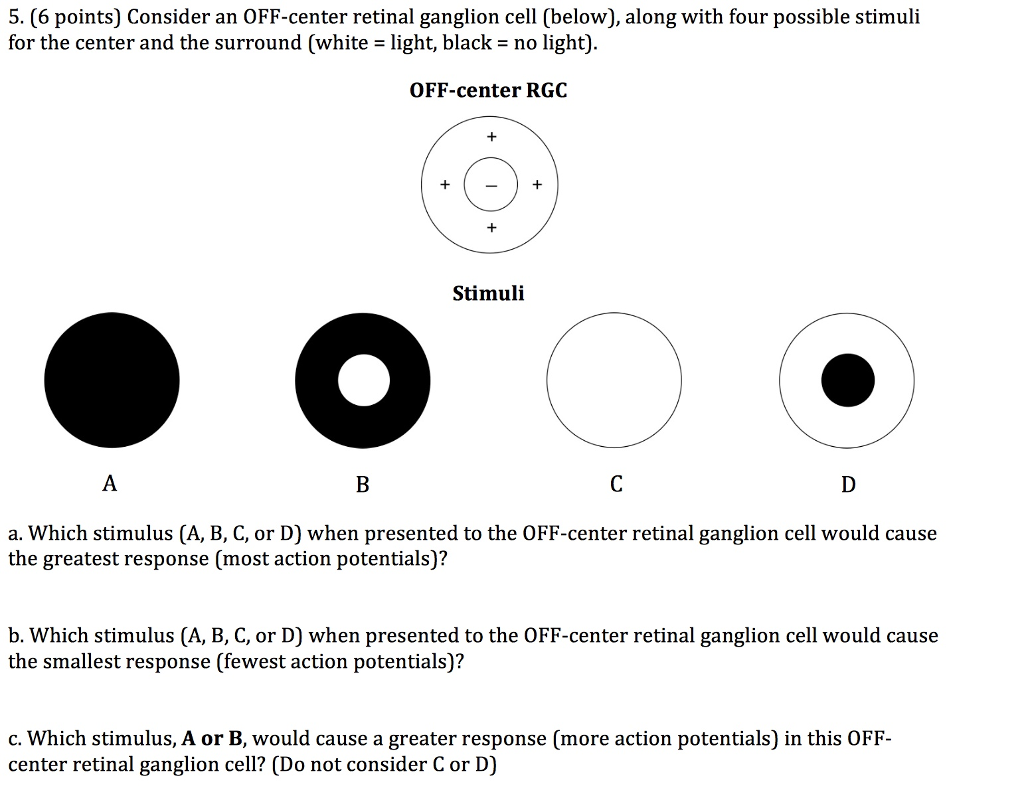 Solved Consider an OFF-center retinal ganglion cell (below), | Chegg.com