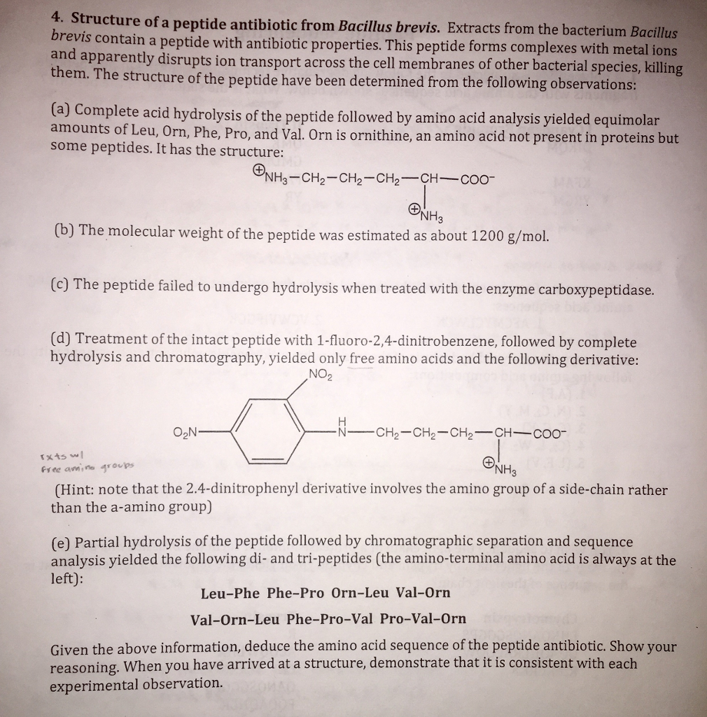 Solved Structure of a peptide antibiotic from Bacillus | Chegg.com