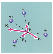 Solved The figure below shows fields E1, E2, E3, and E4 at | Chegg.com