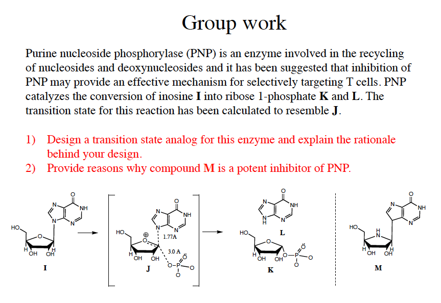 Solved Group work Purine nucleoside phosphorylase (PNP) is | Chegg.com