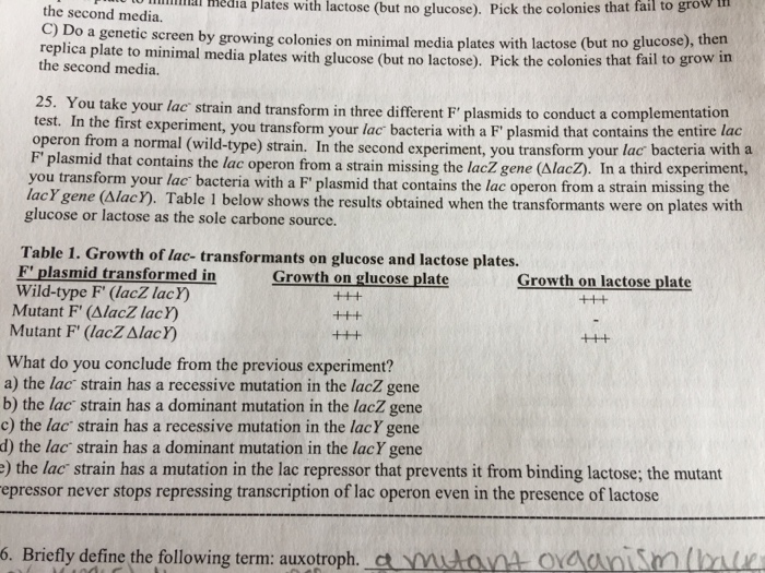 Solved Do a genetic screen by growing colonies on minimal | Chegg.com