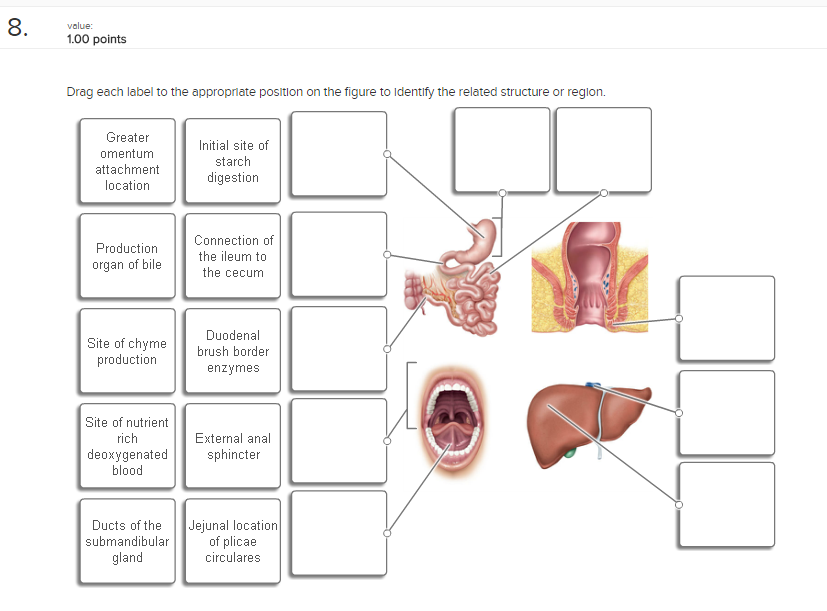 Solved Drag Each Label To The Appropriate Position On The