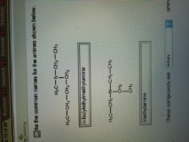 Solved Write the common names for the amines shown | Chegg.com