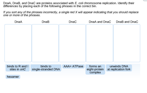 Solved DnaA, DnaB, and DnaC are proteins associated with E. | Chegg.com