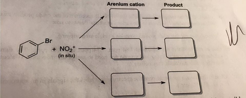 Solved Draw an ortho, a meta, and a para arenium cation | Chegg.com