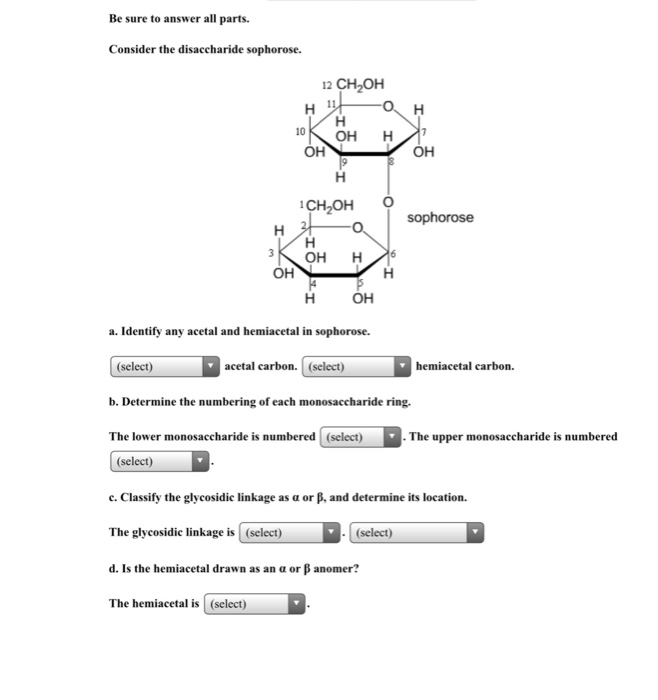 Solved Consider the disaccharide sophorose. Identify any | Chegg.com