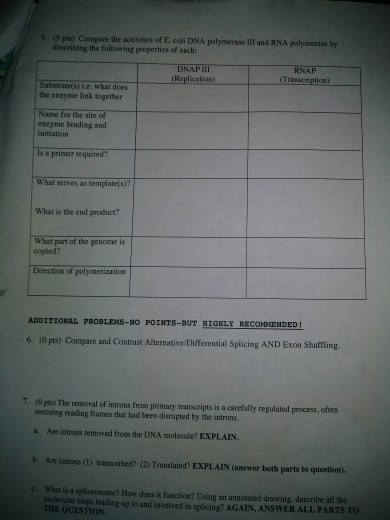 Solved (5 pts) Compare the activities of E. coll DNA | Chegg.com