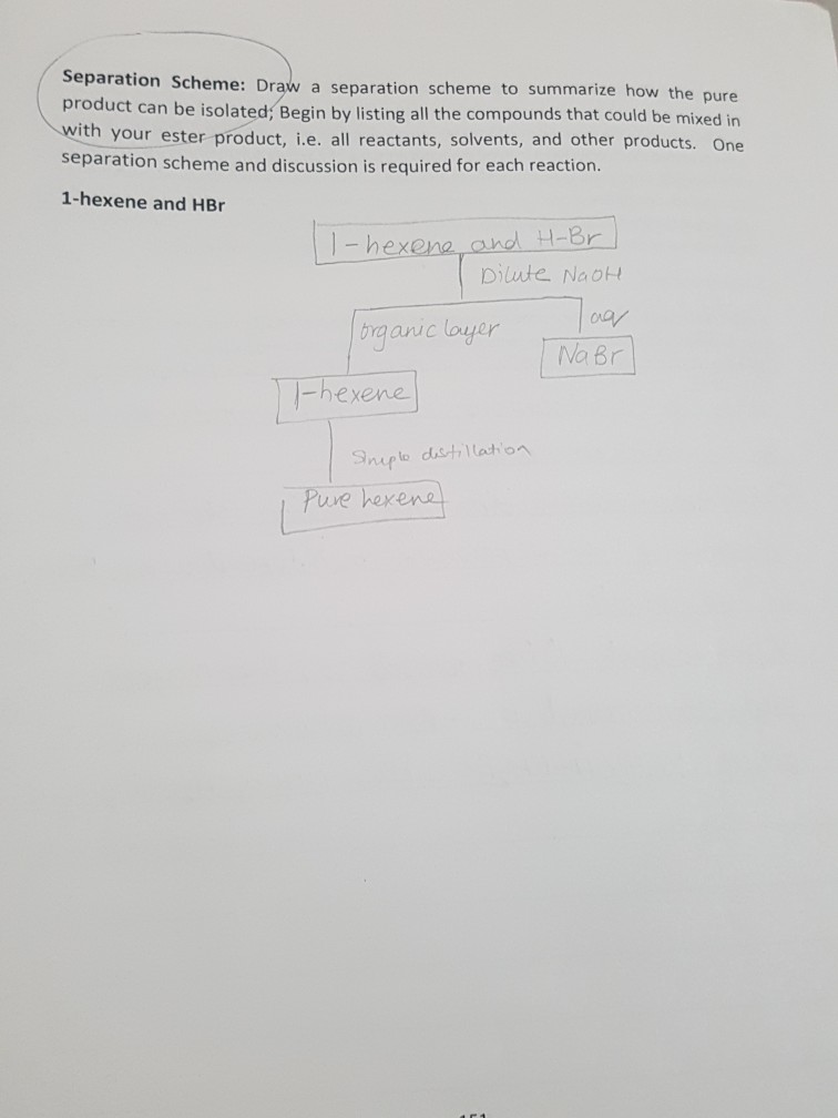 Solved Separation Scheme: 3,3-dimethyl-1-butene and HBr orD | Chegg.com