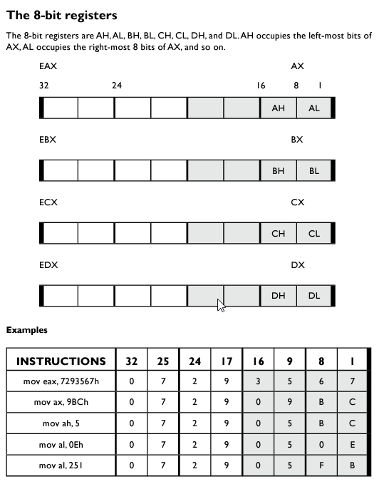 Solved The 8-bit registers The 8-bit registers are AH, AL, | Chegg.com