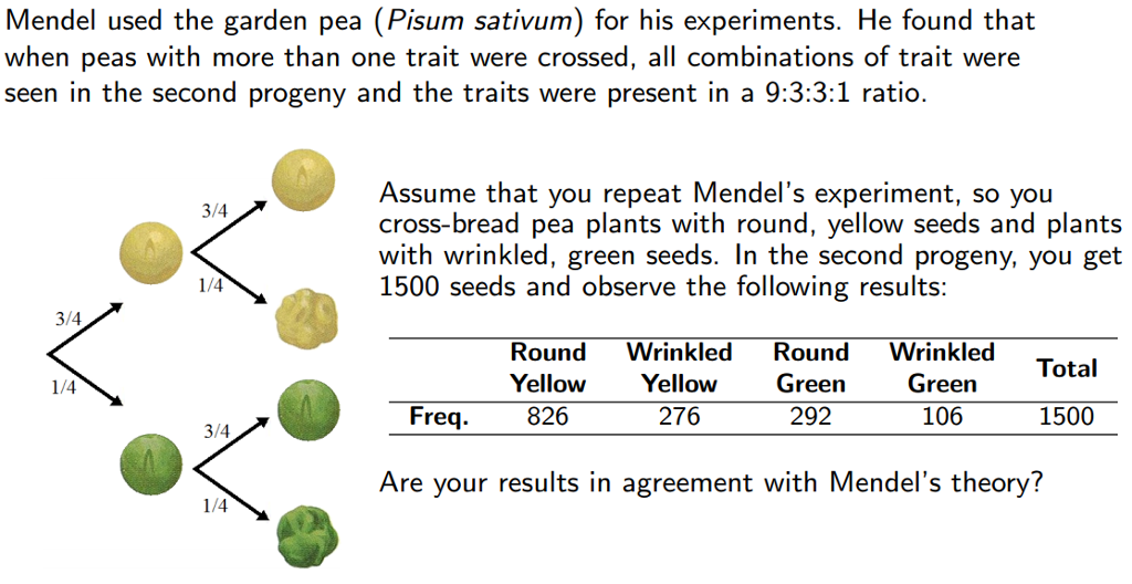 Solved Mendel used the garden pea (Pisum sativum) for his | Chegg.com