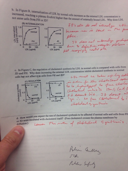 In figure B, internalization of LDL by normal cells | Chegg.com