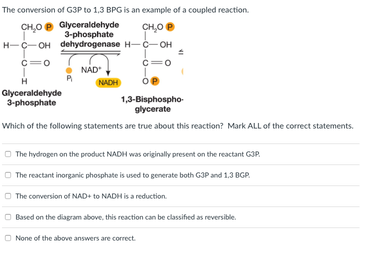 Solved The conversion of G3P to 1,3 BPG is an example of a | Chegg.com