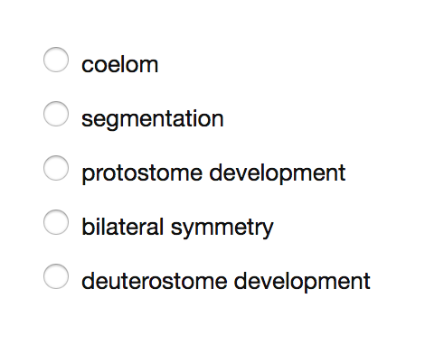 Solved QUESTION 22 Which morphological trait evolved more | Chegg.com
