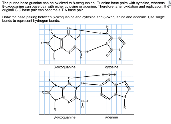 Solved The purine base guanine can be oxidized to | Chegg.com