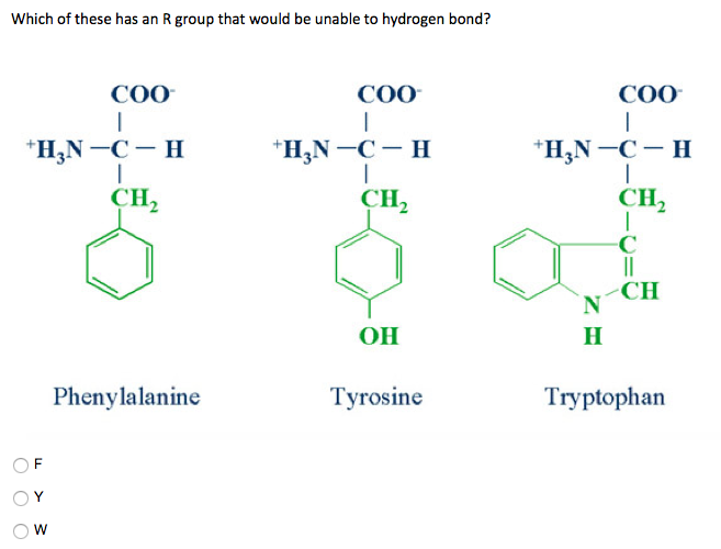 Solved Which of the following best represents the backbone | Chegg.com