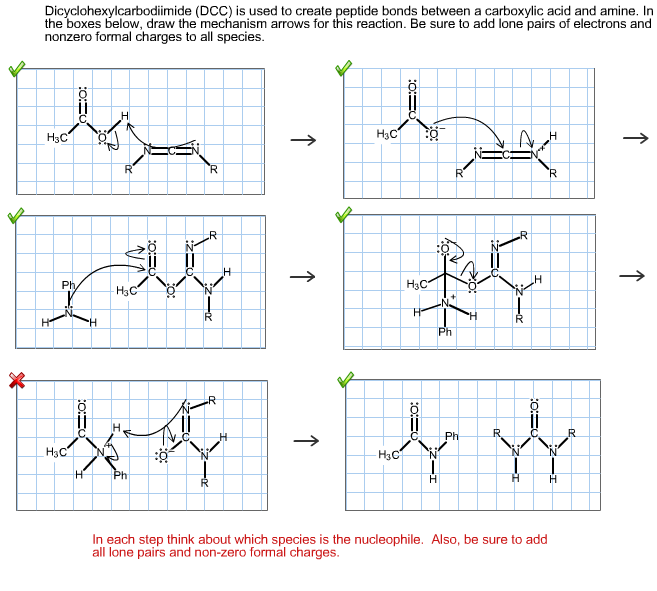 Solved Dicyclohexylcarbodiimide (DCC) is used to create | Chegg.com