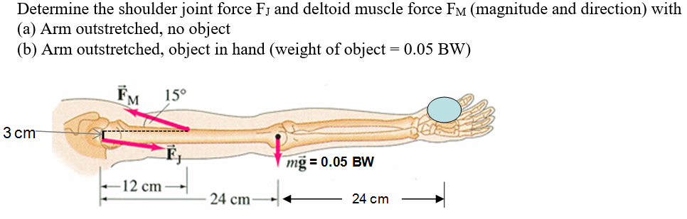 Solved Determine the shoulder joint force F_J and deltoid | Chegg.com