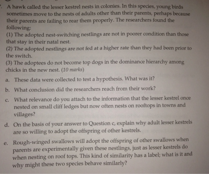 Solved A hawk called the lesser kestrel nests in colonies. | Chegg.com