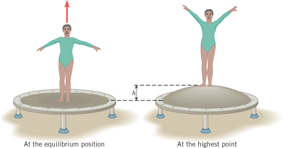 Solved A person bounces up and down on a trampoline, while | Chegg.com