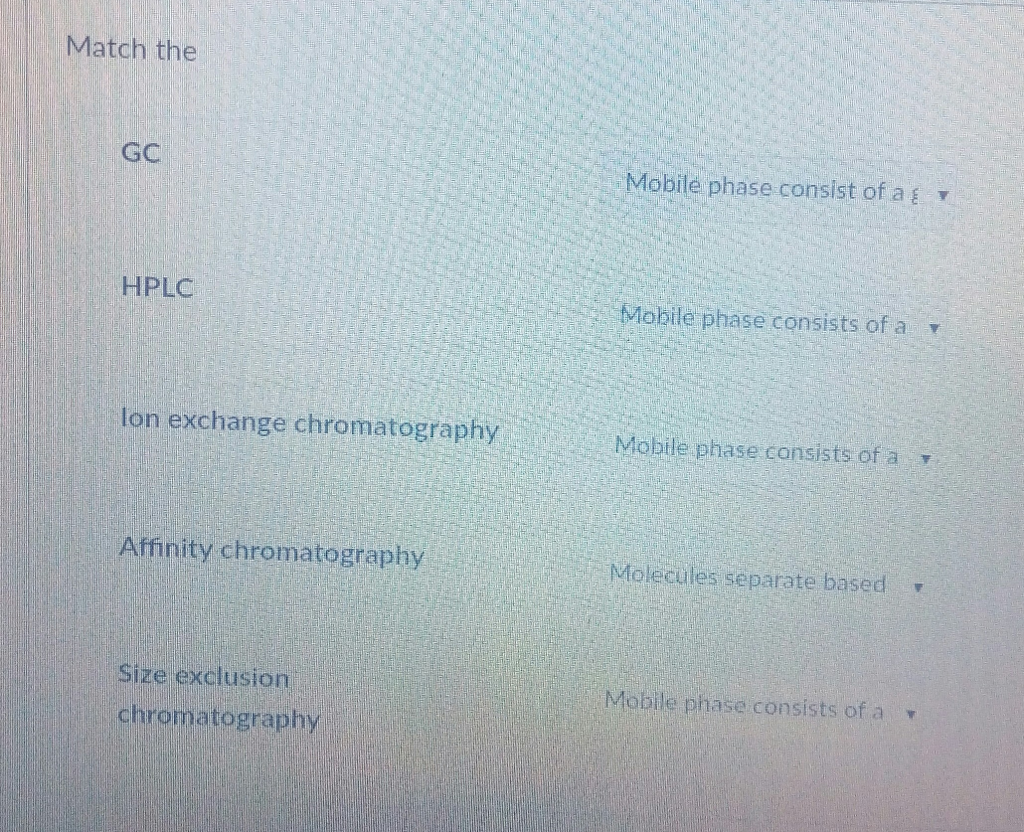 Solved Match the GC Mobile phase consist of a g HPLC | Chegg.com