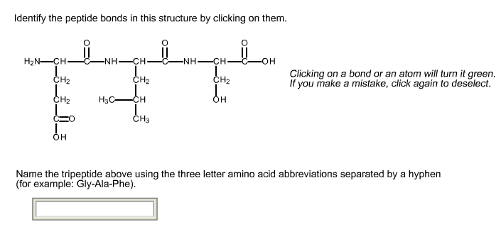 Identify the peptide bonds in this structure by | Chegg.com