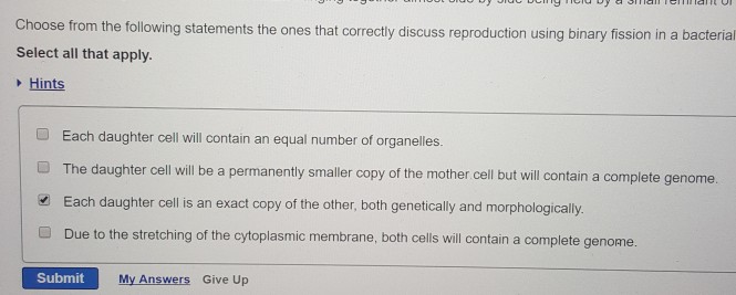 Solved Choose from the following statements the ones that | Chegg.com Solved Choose from the following statements the ones that | Chegg.com