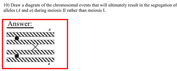 Solved Draw a diagram of the chromosomal events that will | Chegg.com
