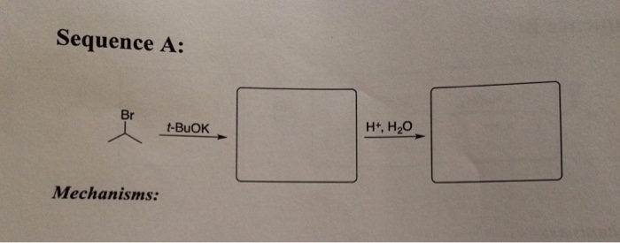 Solved Sequence A: t-BuOK Mechanisms H+, H2O | Chegg.com
