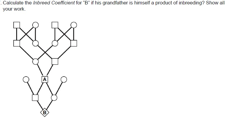 Inbreeding Coefficient Formula