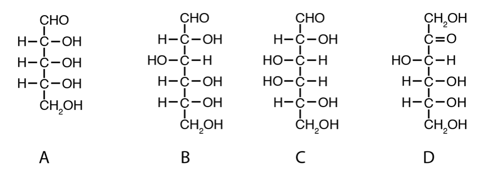 Solved Which structure(s) represent reducing sugar(s)? (why | Chegg.com