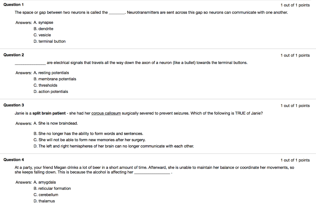 Solved Question 1 1 out of 1 points The space or gap between | Chegg.com