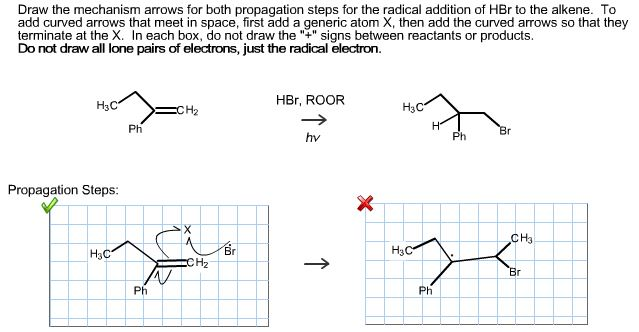 Solved Draw the mechanism arrows for both propagation steps | Chegg.com