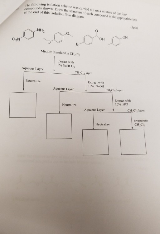 Solved tion scheme was carried out on a mixture of the fo | Chegg.com