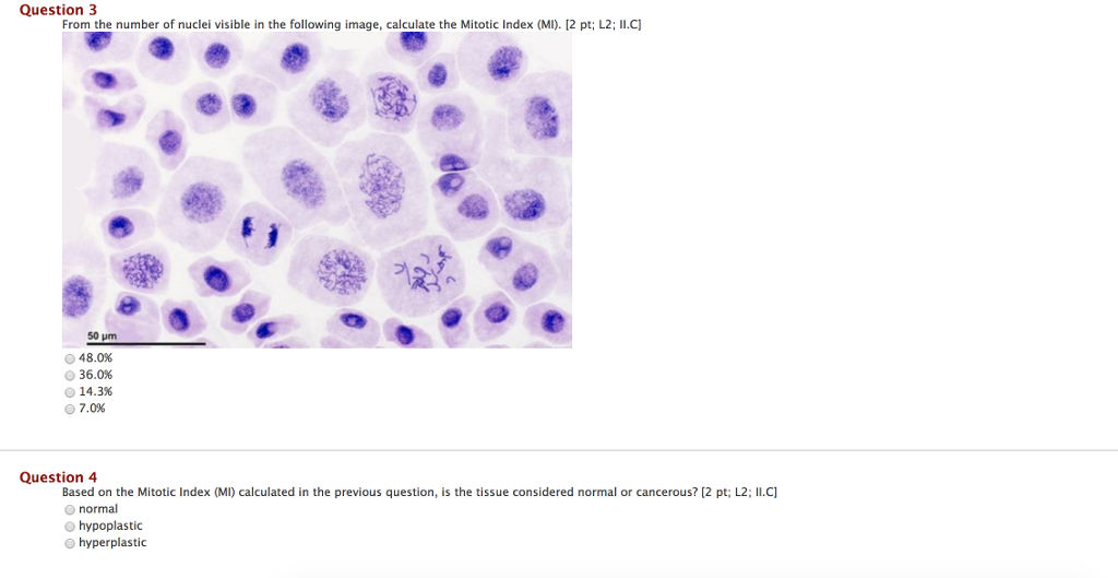 Solved Question 3 From the number of nuclei visible in the | Chegg.com Solved Question 3 From the number of nuclei visible in the | Chegg.com