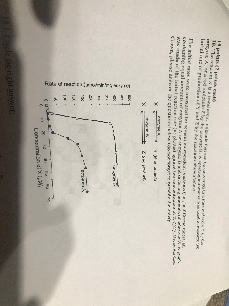 Solved Rate Of Reaction umol min mg Enzyme Chegg solved-rate-of-reaction-umol-min-mg-enzyme-chegg