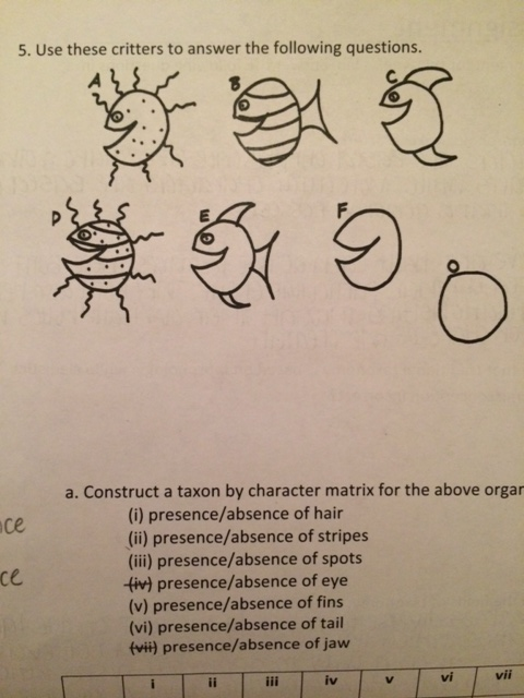 Solved Construct a taxon by character matrix for the above | Chegg.com