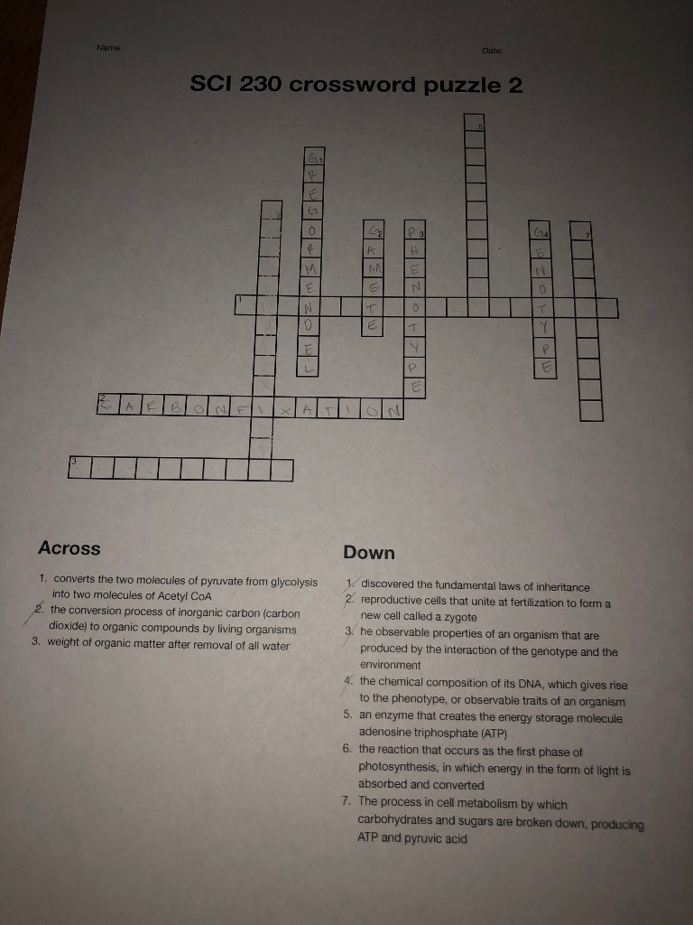 Biology Crossword Answers