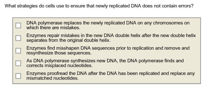 Solved Hint: Enzymes check newly replicated DNA for mistakes | Chegg.com