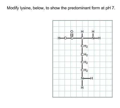 Solved Modify lysine, below, to show the predominant form at | Chegg.com