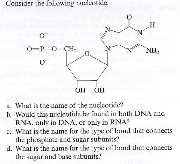 Consider the following nucleotide. What is the name | Chegg.com