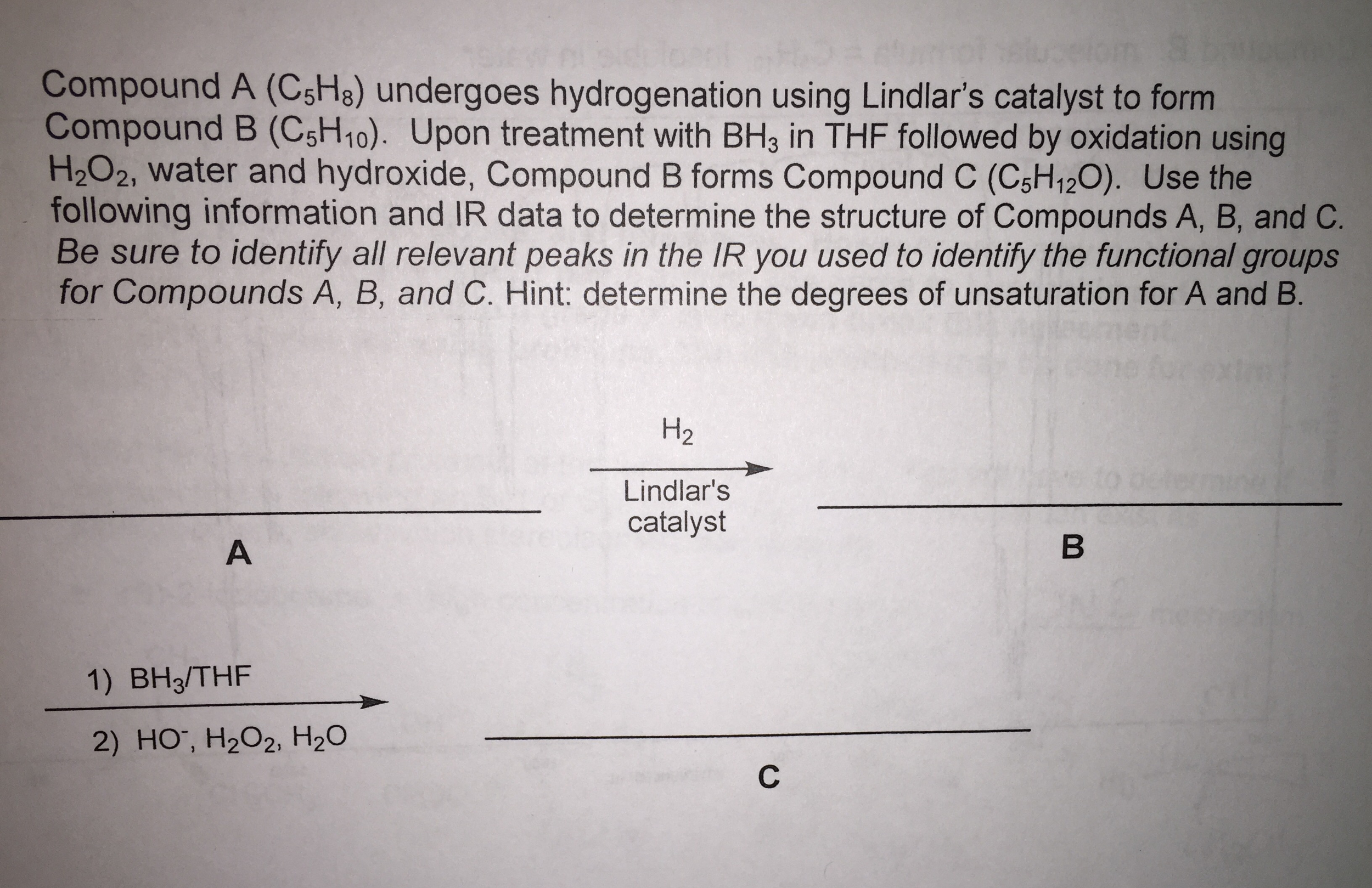 Solved Compound C: molecular formula = C5H12O Slightly | Chegg.com