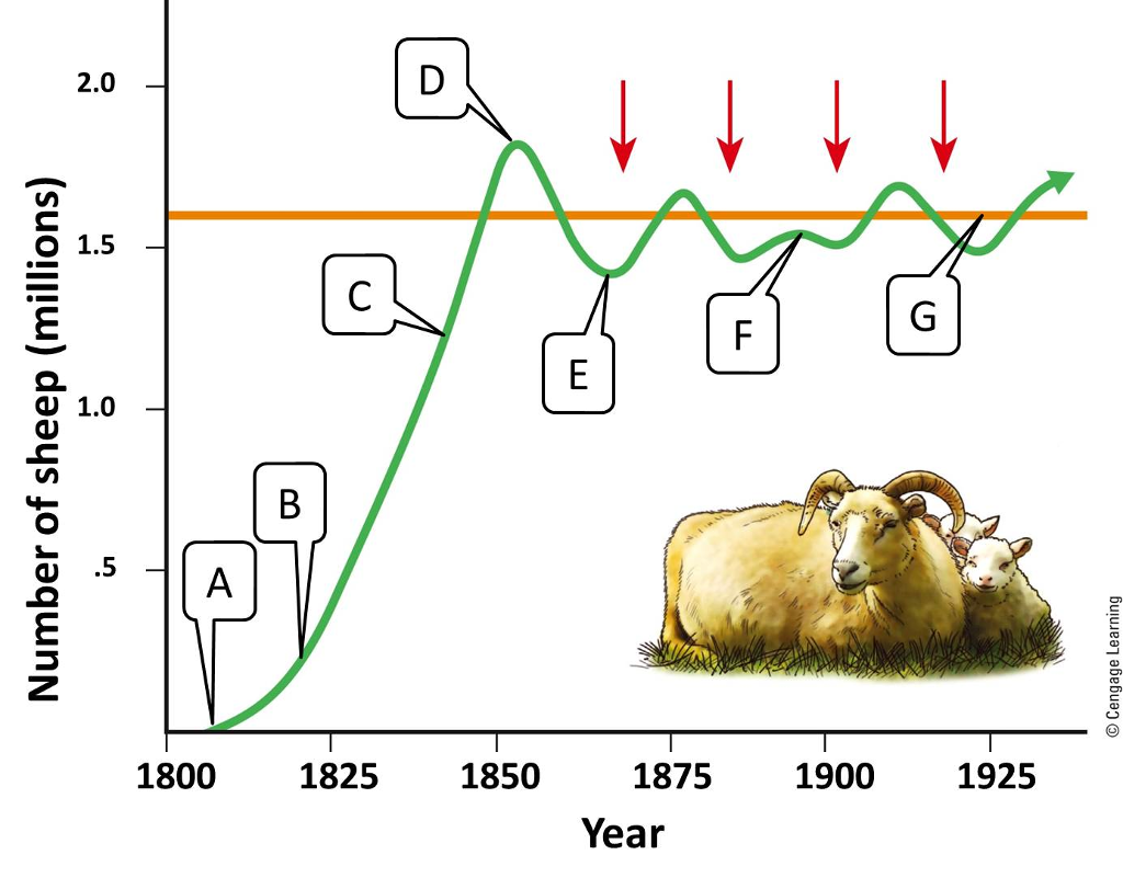 Solved 2.0 1.5 ム 1.0 .5 1800 1825 1850 1875 1900 1925 Year | Chegg.com