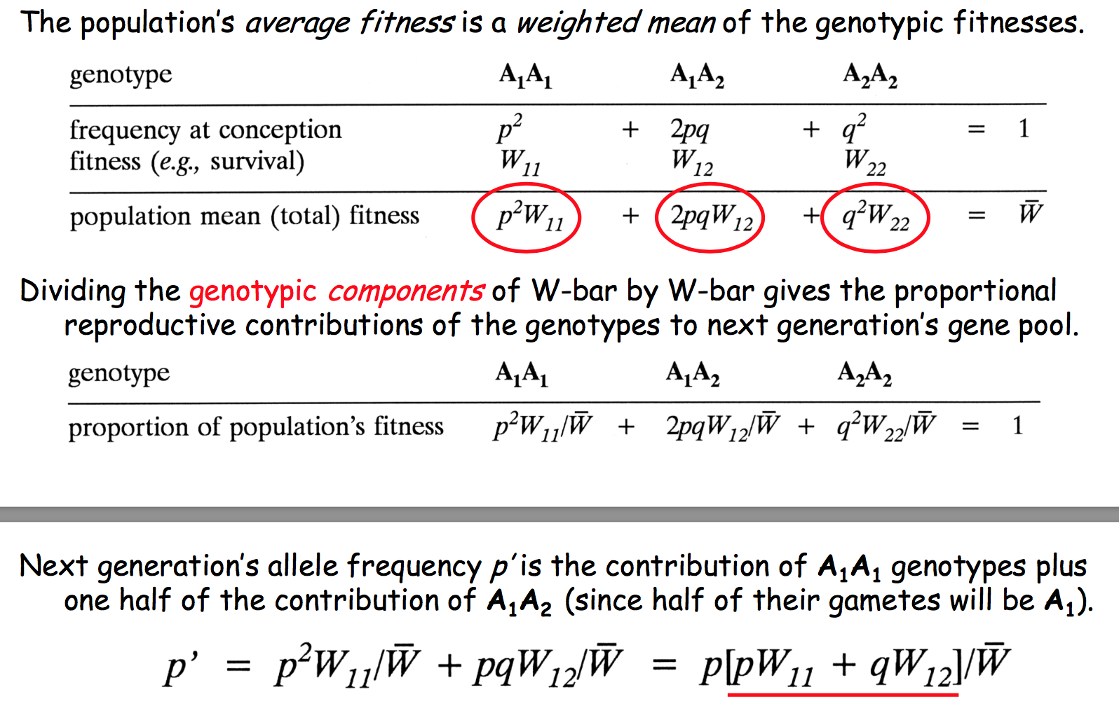 Solved Consider an allele that confers resistance to | Chegg.com