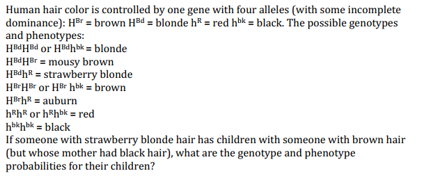Solved Human hair color is controlled by one gene with four | Chegg.com