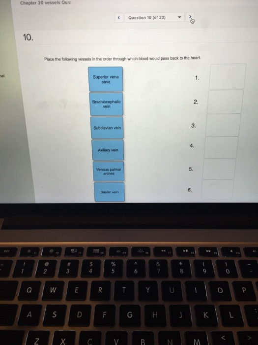 Solved Place the following vessels in the order through | Chegg.com
