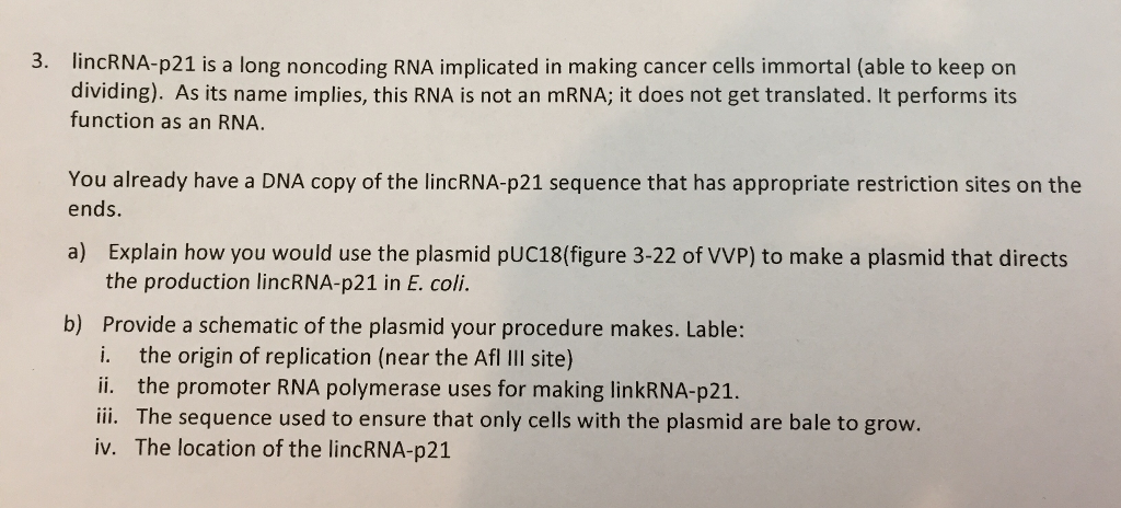 Solved 3. lincRNA-p21 is a long noncoding RNA implicated in | Chegg.com
