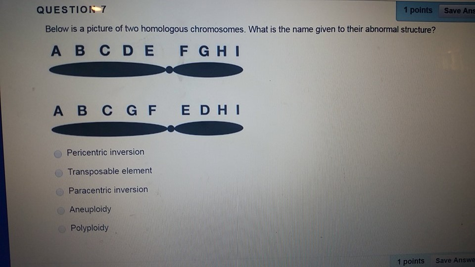 Solved QUESTION 7 1 points Save Ans Below is a picture of | Chegg.com Solved QUESTION 7 1 points Save Ans Below is a picture of | Chegg.com